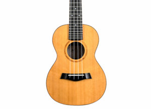 Twisted Wood Guitars - Canada's Premier Ukulele Co.